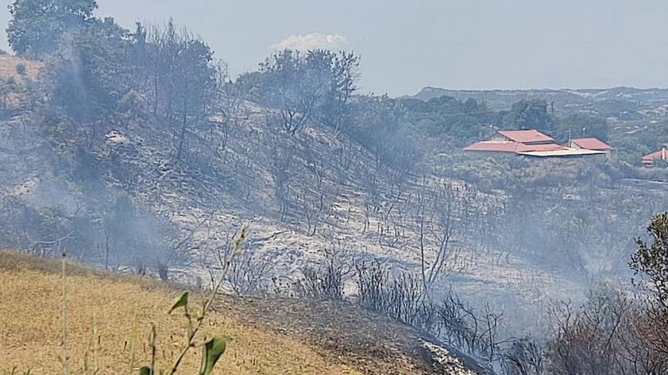 Φωτιά τώρα στην Ηλεία: Καίει δασική έκταση | ΕΛΛΑΔΑ | thepressroom.gr