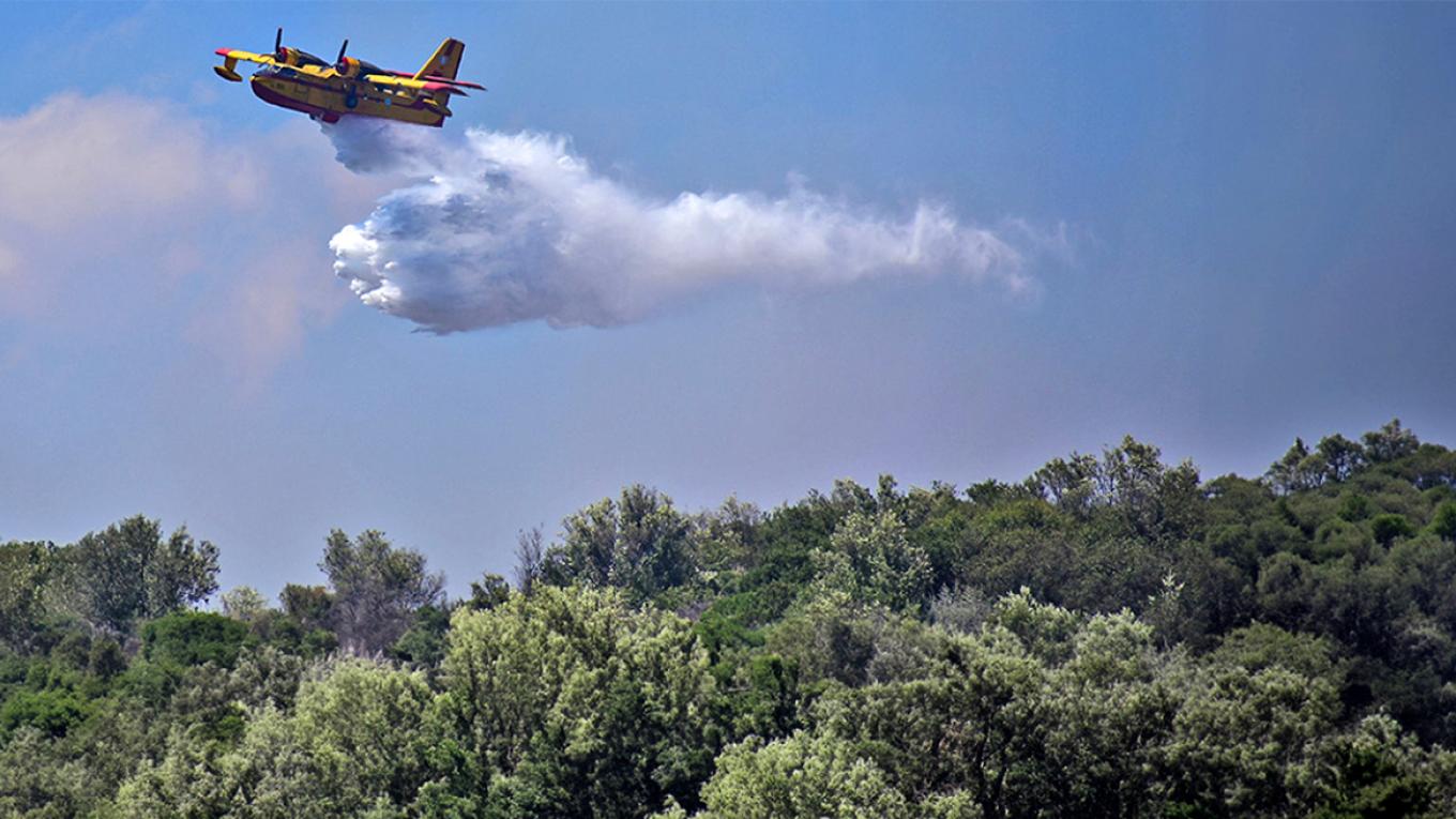 Οριοθετήθηκε η φωτιά στο ‘Αγιον ‘Ορος | ΕΛΛΑΔΑ | thepressroom.gr